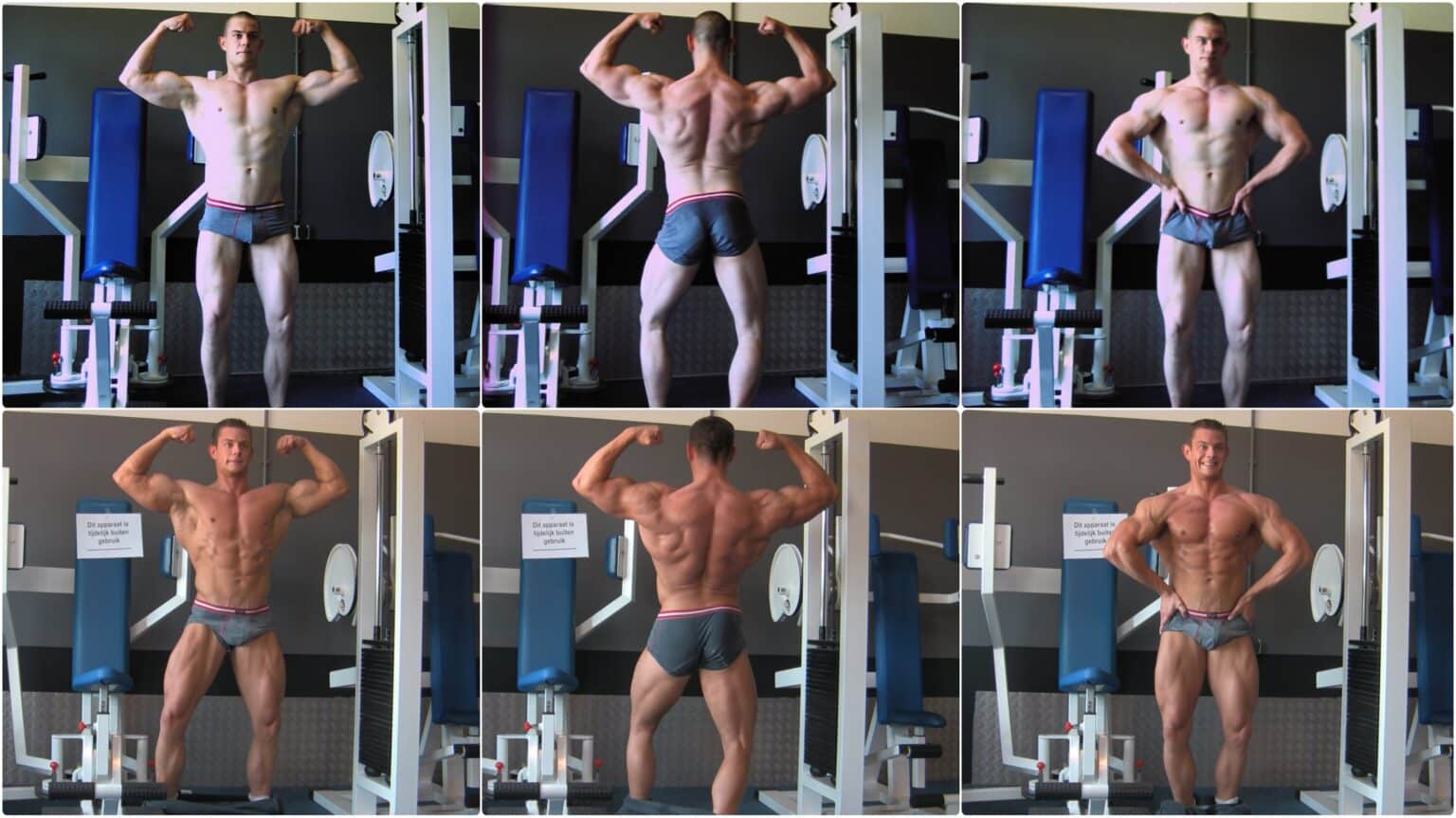 Supplementation – Vigorous Steve